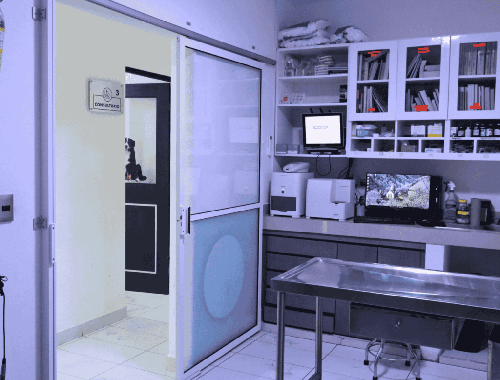 Hospital Veterinario en Apodaca 24/7 - Pets Mas Bet